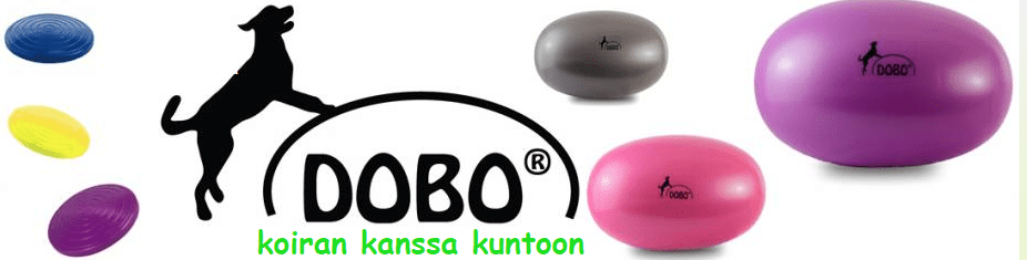 Dobo-kurssi 11.9.2016
